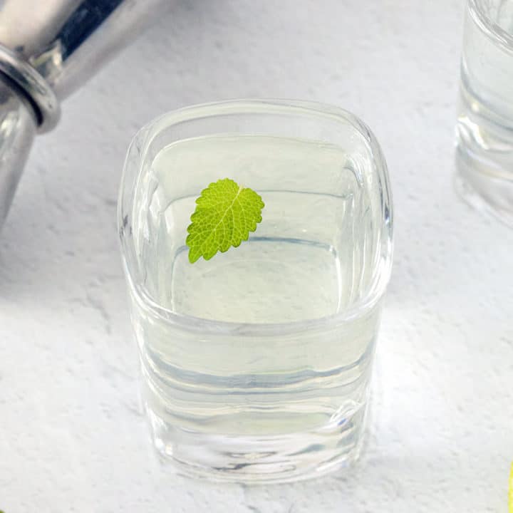 White Tea Shot (Ready In 2 Minutes!) - Foodie and Wine
