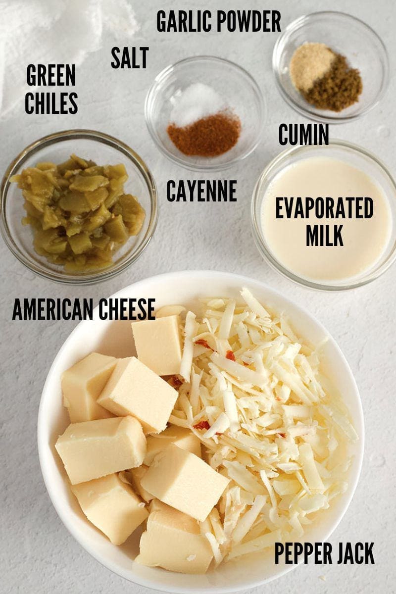 White Queso (Mexican Cheese Dip) - Foodie and Wine